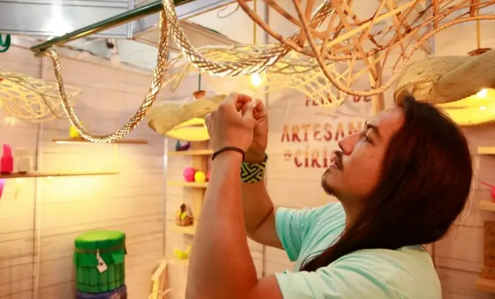 Brinquedos de Miriti: Artesanato da Floresta que Encanta o Mundo - CRAB ...